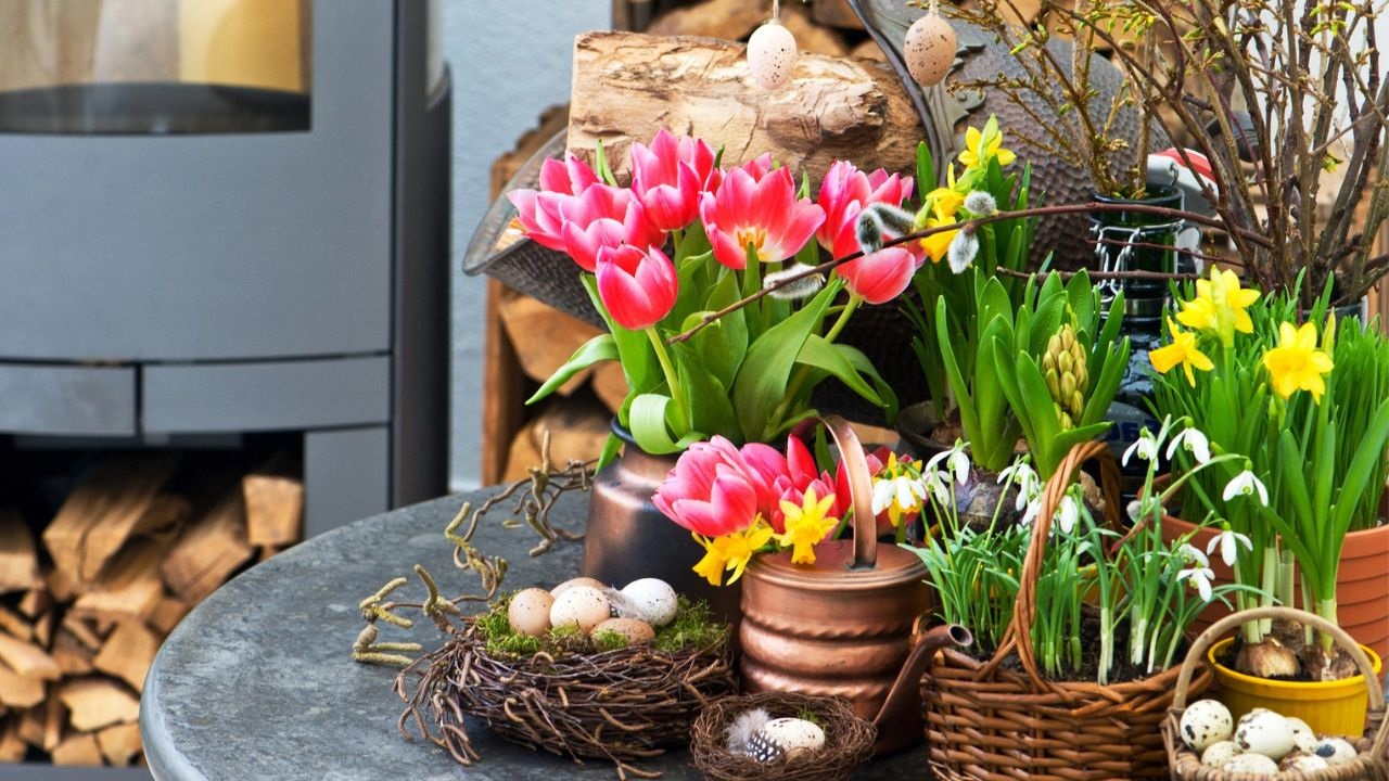 Jarné kvety v plnej paráde! Nechajte balkón aj záhradu rozkvitnúť ...