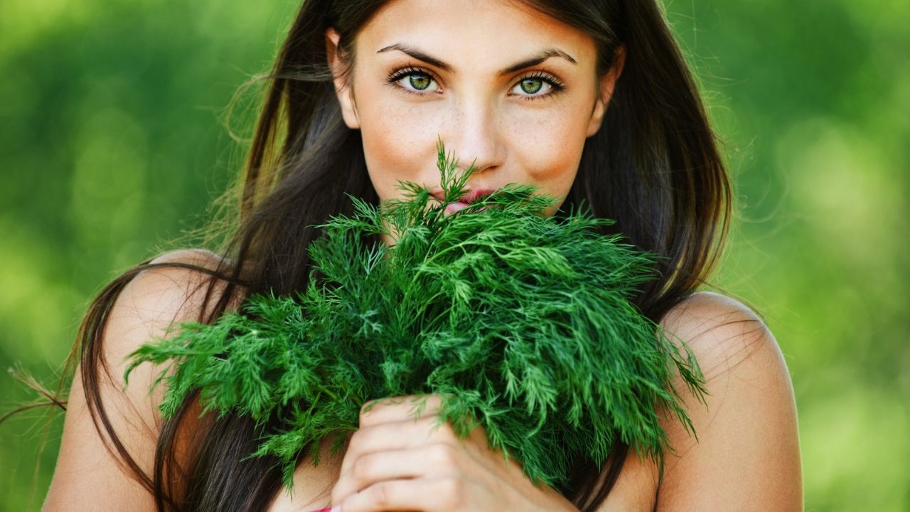 Kôpor ako tradičná slovenská bylinka. Aké je jeho využitie ...